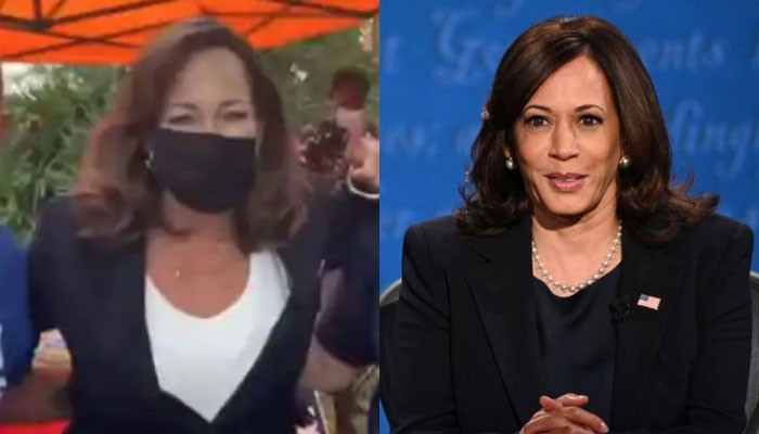 Fake Kamala Harris? New photos of VP candidate trigger ‘body double ...