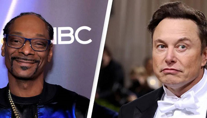 Snoop Dogg's Twitter purchase wish sees Elon Musk respond