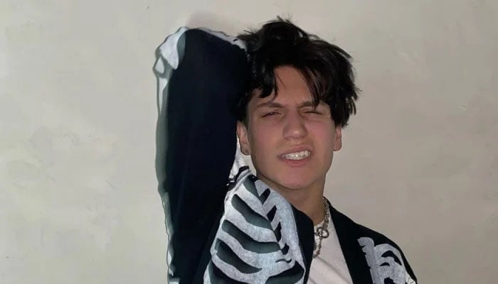 Here's how TikToker Chase Hudson makes money