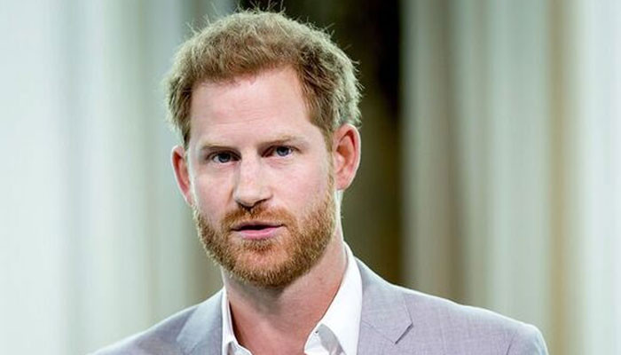 Prince Harry 'rising from the ashes' to become 'leader' in America
