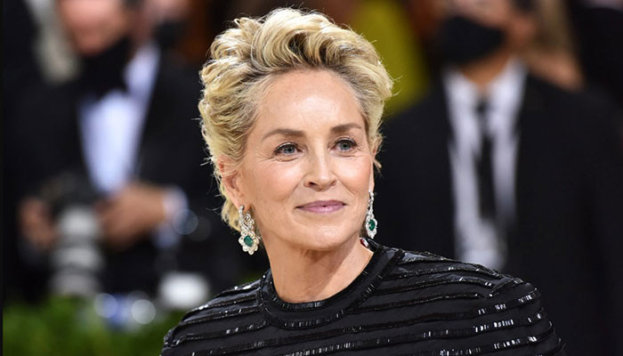 Sharon Stone Shows Off Incredible Physique In Bikini Clad Photo