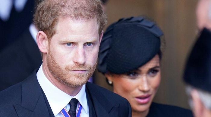 Prince Harry urged to tell Meghan Markle scehemes 'no' - The Celeb Post