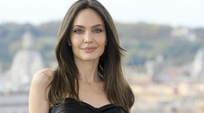 Angelina Jolie Reportedly Hired Hitman To Kill Herself The Celeb Post