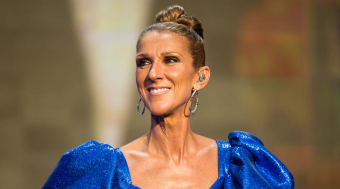 Celion Dion might 'never be able to return to stage' after 'tragic ...