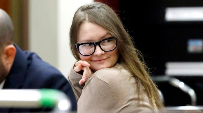 Con artist Anna Delvey plans to launch reality TV show - The Celeb Post