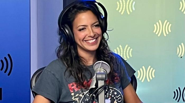 Nicole Ryan, SiriusXM host, 'seriously injured' after hit by car - The ...