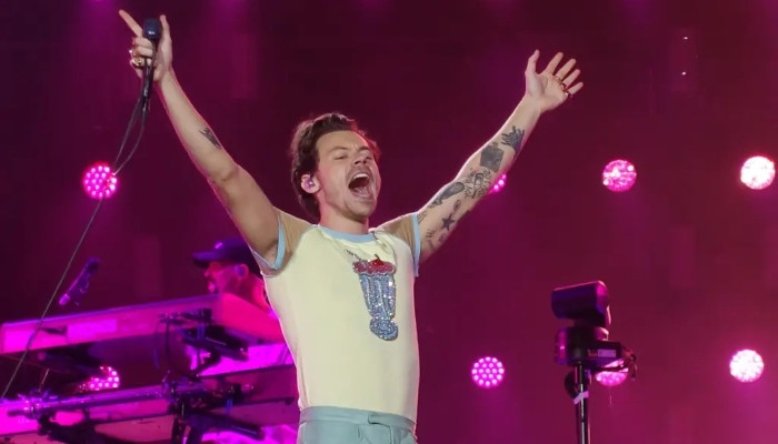Harry Styles slammed by fans over shoey act: 'disgusting tradition ever'