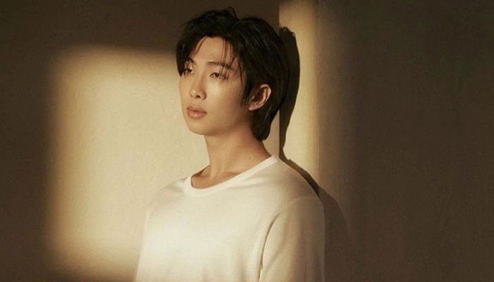 BTS’ RM’s Closer music video features Park Chan-wook’s Decision To Leave