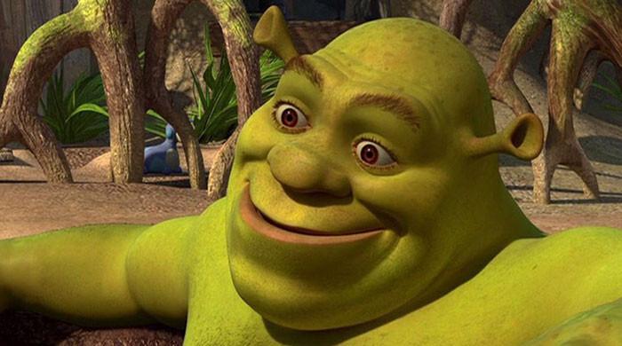 Talks for Shrek 5, Donkey spinoff kick off after a decade - The Celeb Post