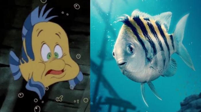 The Little Mermaid: Fans in shock following first look of Flounder ...
