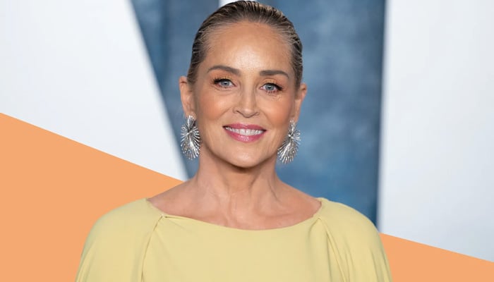 Sharon Stone laments she hasn't 'had jobs' since suffering stroke in ... Sharon Stone laments she hasn't 'had jobs' since suffering stroke in ...