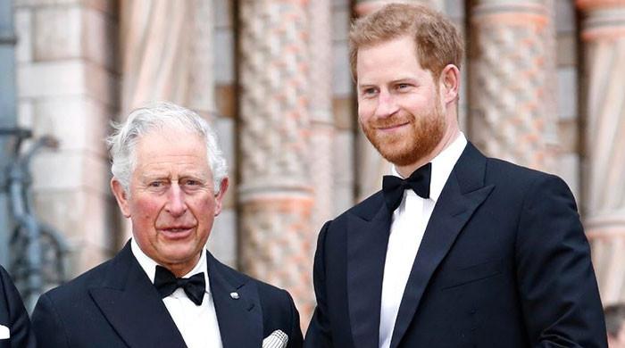 King Charles extends olive branch to Prince Harry with touching Father's Day tribute