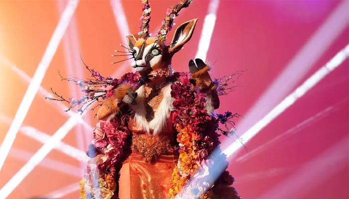 The Masked Singer judges shell shocked over Gazelle's identity