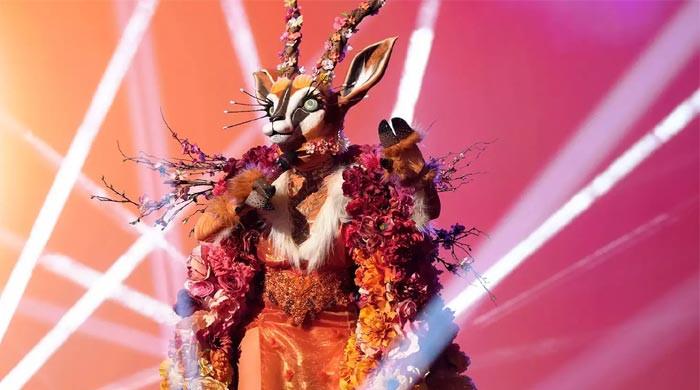 The Masked Singer judges shell shocked over Gazelle's identity