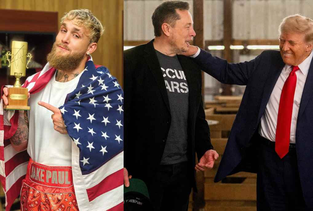 Jake Paul jumps in Elon Musk, Donald Trump feud