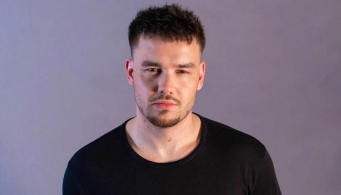Liam Payne's family breaks silence over 'Building the Band' role